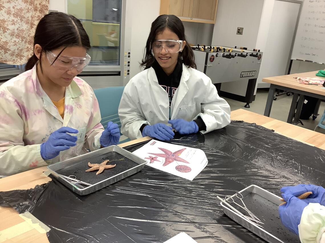 Mini University Camps | Active Living | University of Calgary